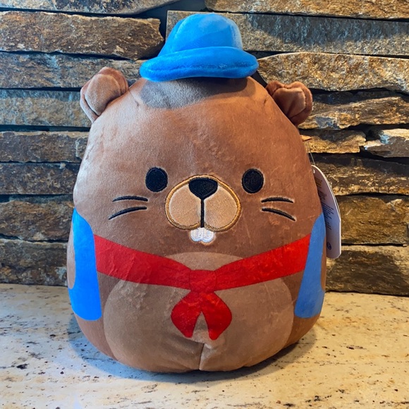 Squishmallows | Toys | Nwt Chip The Beaver Squishmallow 8 Inch Back To ...